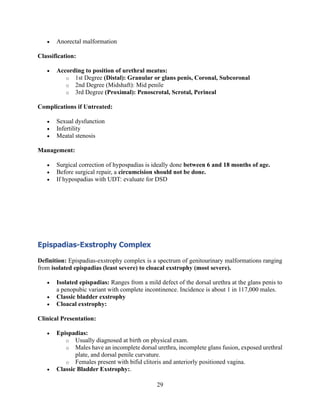 Renal system of newborn at a glance- neonatology | PDF