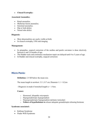 Renal system of newborn at a glance- neonatology | PDF