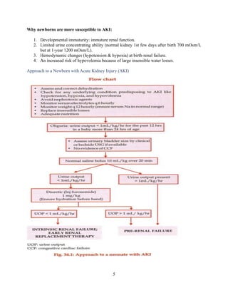 Renal system of newborn at a glance- neonatology | PDF