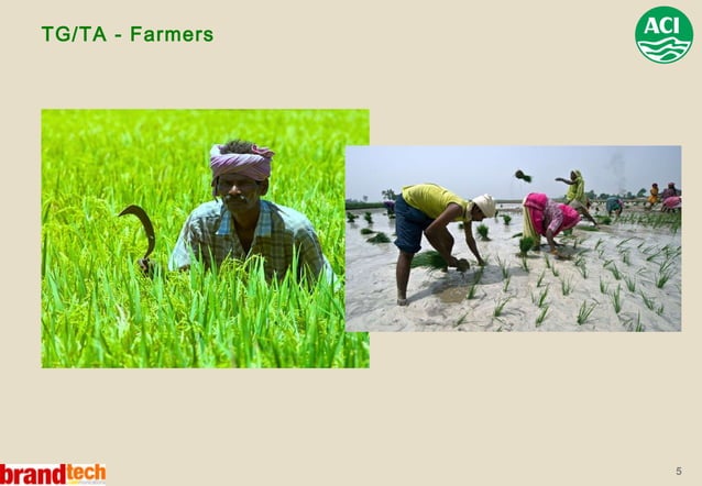 ACI Seed Hybrid Rice & Vegetables Activation & BTL Campaign | PPT