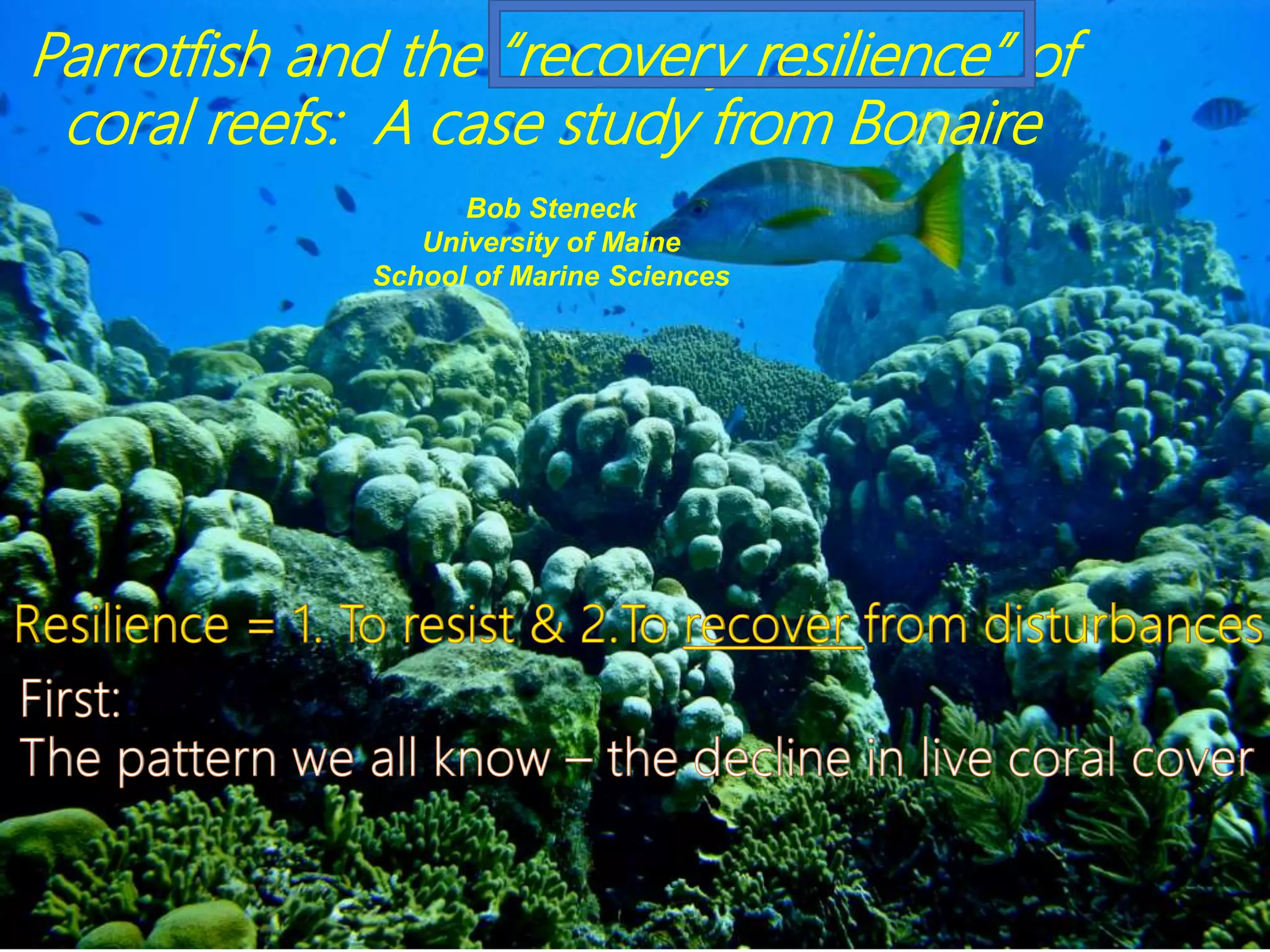 Parrotfish and the recovery resilience of coral reefs: A case study ...
