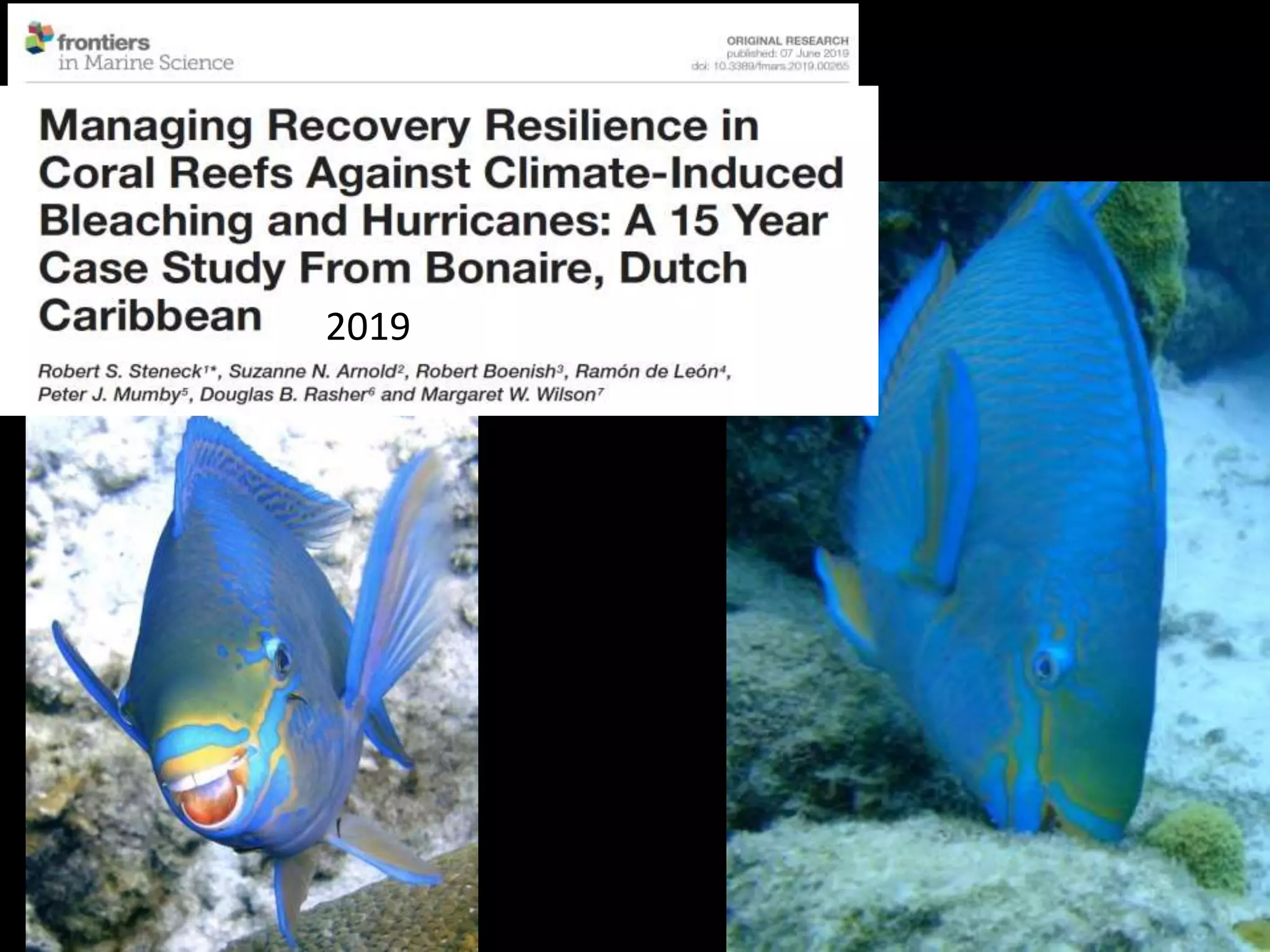 Parrotfish and the recovery resilience of coral reefs: A case study ...
