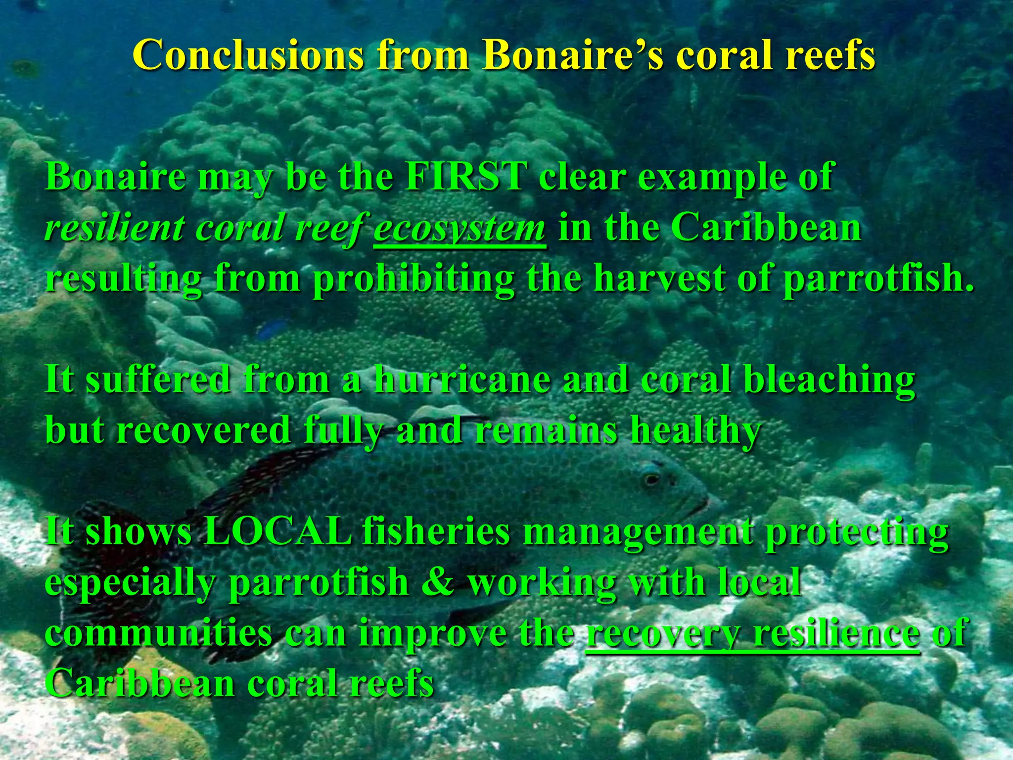 Parrotfish and the recovery resilience of coral reefs: A case study ...