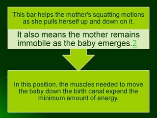 006 the birth-contraction motion | PPT