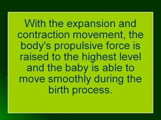 006 the birth-contraction motion | PPT