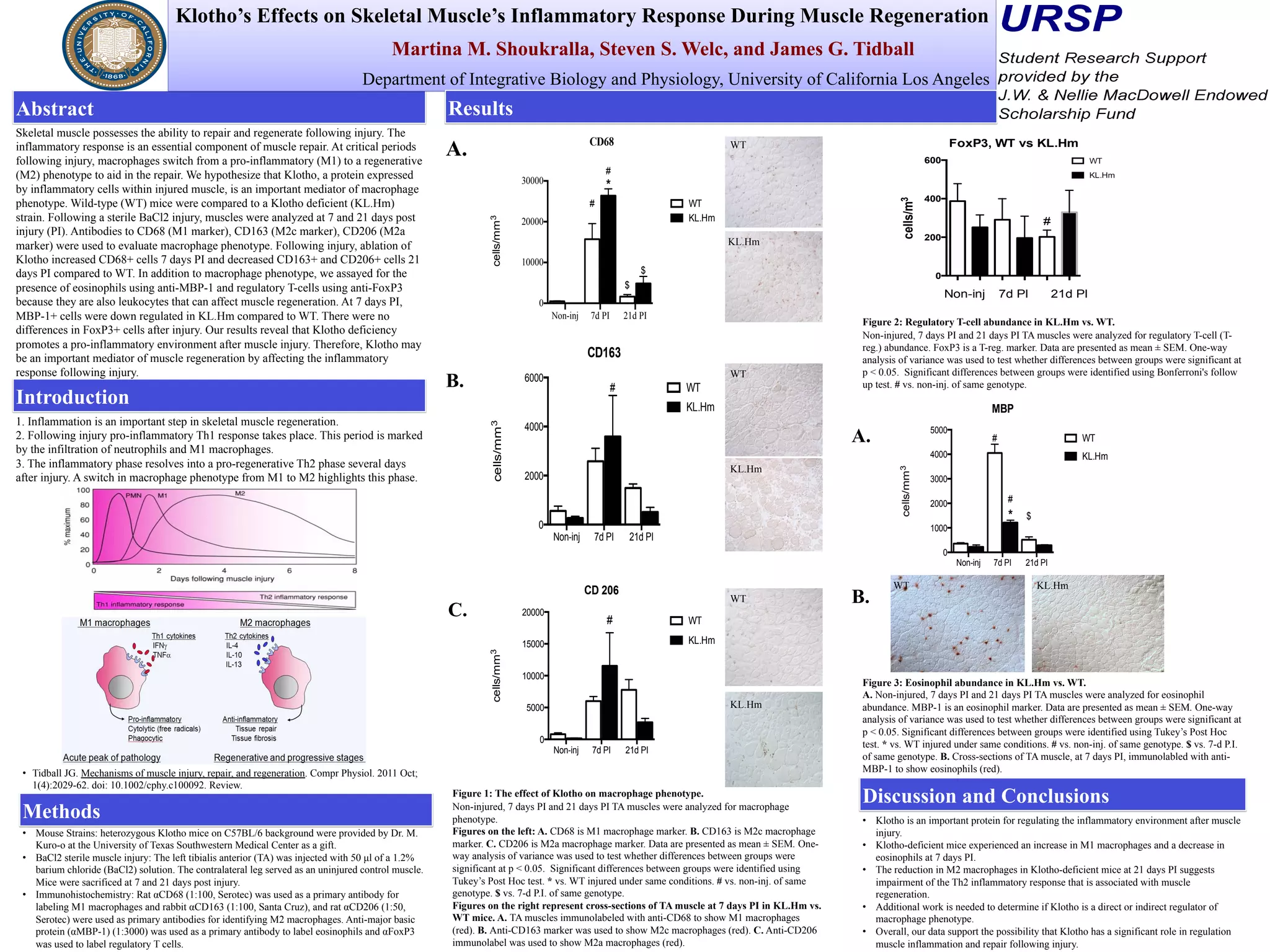 Martina.Shoukralla.May11 Poster | PDF