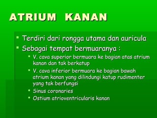 Anatomy and Physiology Heart/ Anatomi Fisiologi Jantung | PPT