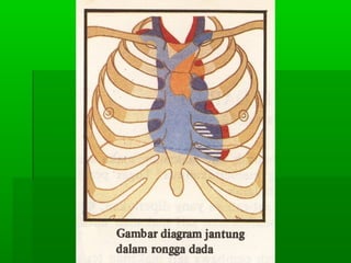 Anatomy and Physiology Heart/ Anatomi Fisiologi Jantung | PPT