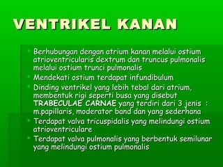 Anatomy and Physiology Heart/ Anatomi Fisiologi Jantung | PPT