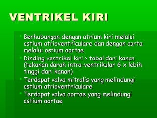 Anatomy and Physiology Heart/ Anatomi Fisiologi Jantung | PPT