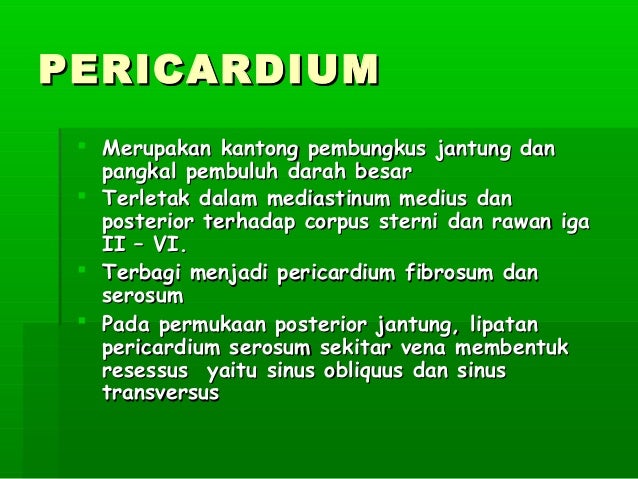 Anatomy and Physiology Heart/ Anatomi Fisiologi Jantung