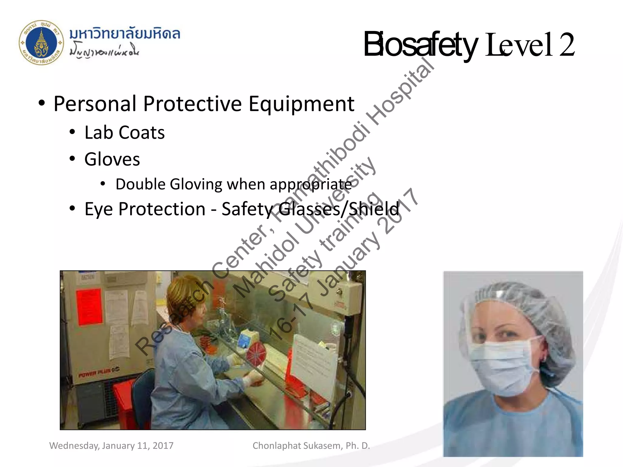 Biosafety level and PPE | PDF