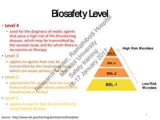 Biosafety level and PPE | PDF