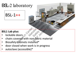 Biosafety level and PPE | PPT