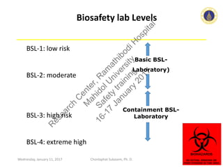 Biosafety level and PPE | PPT