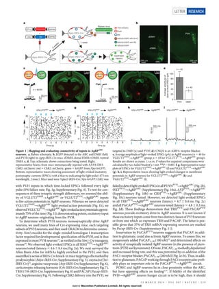 Nature_Acknowledgement | PDF