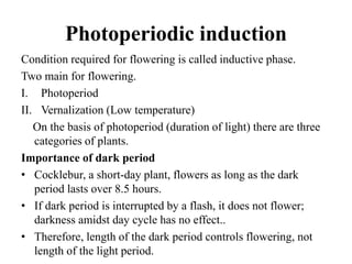 ubaidafzal018@gmail.com