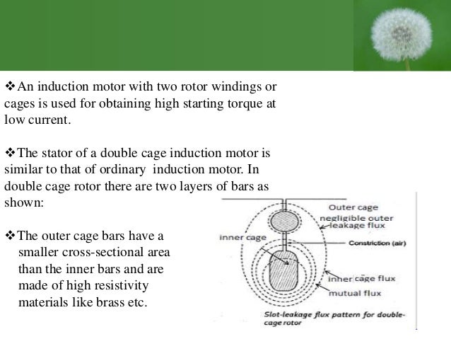 Double Cage Induction Motor