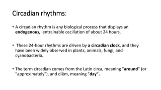 ubaidafzal018@gmail.com