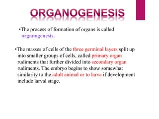 Zygote and its early development | PPTX