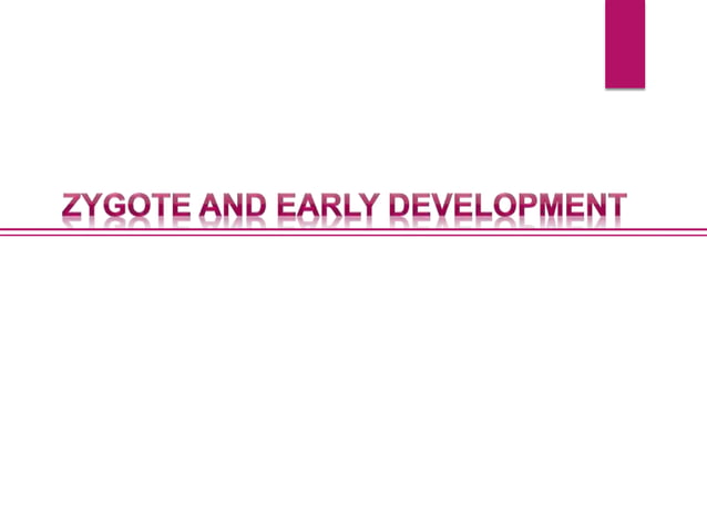 Zygote 2 | PPTX