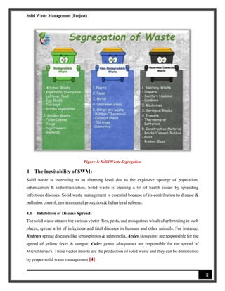 0081-Muhammad Yousuf Sher Project Environmental Chemistry.docx