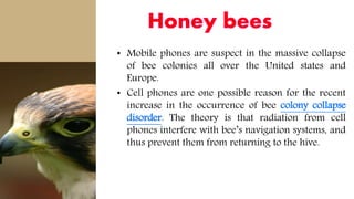 Ecological effects of Cell Phone Radiations | PPTX