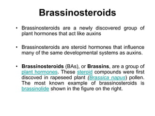 008 Brassinosteroids.ppt