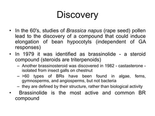 008 Brassinosteroids.ppt