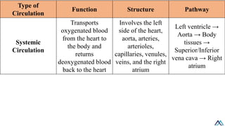Fetal and regional circulation / Fetal and regional circulation.pdf