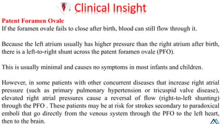 Fetal and regional circulation / Fetal and regional circulation.pdf