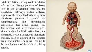 Fetal and regional circulation / Fetal and regional circulation.pdf