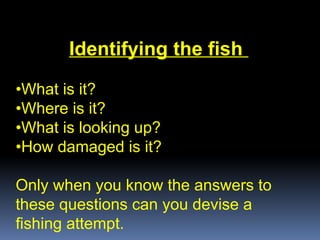 Fishing operations including overshot and spears | PPSX