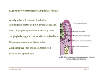 009.dental plaque | PDF