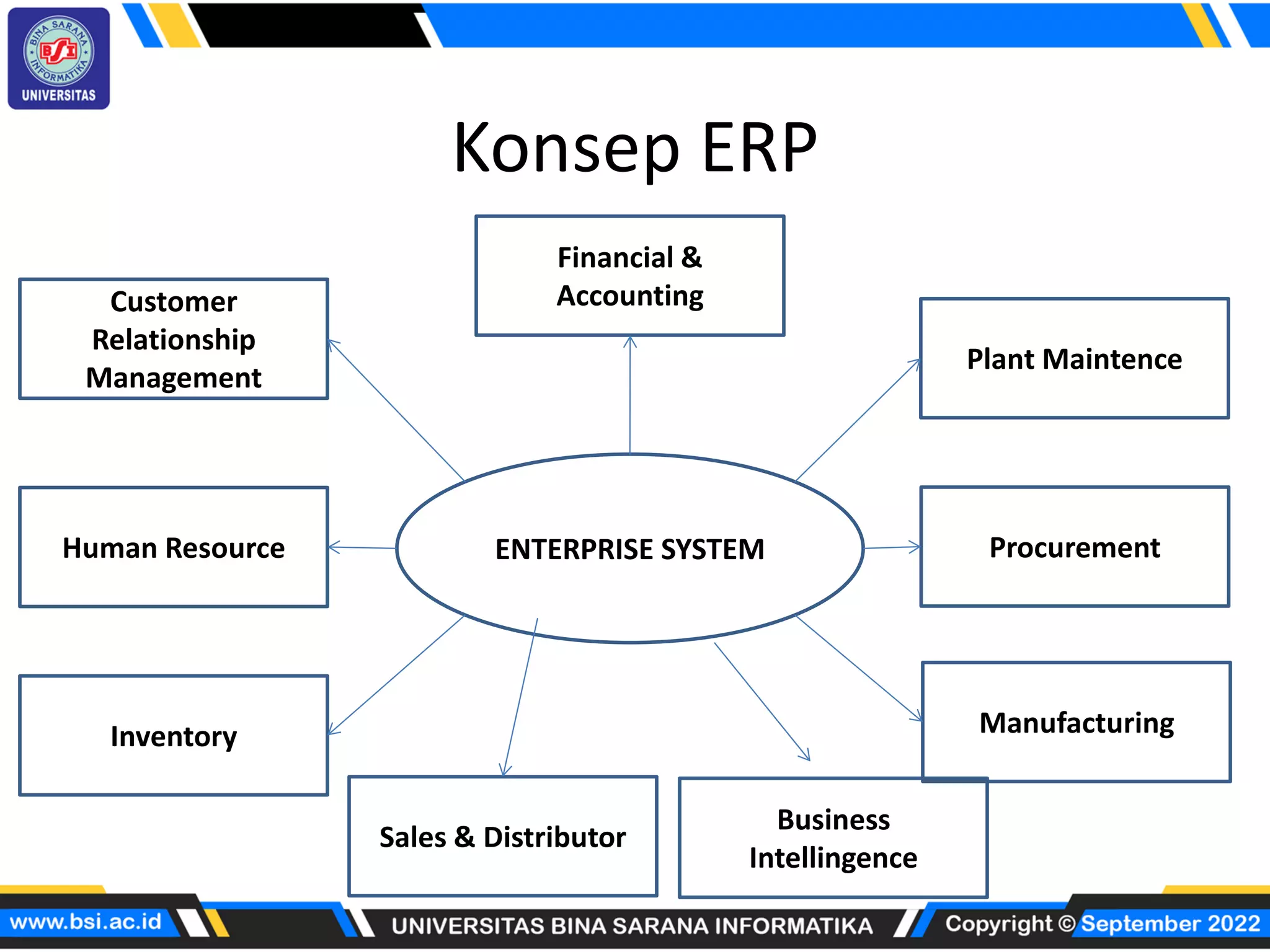 Erp Pdf