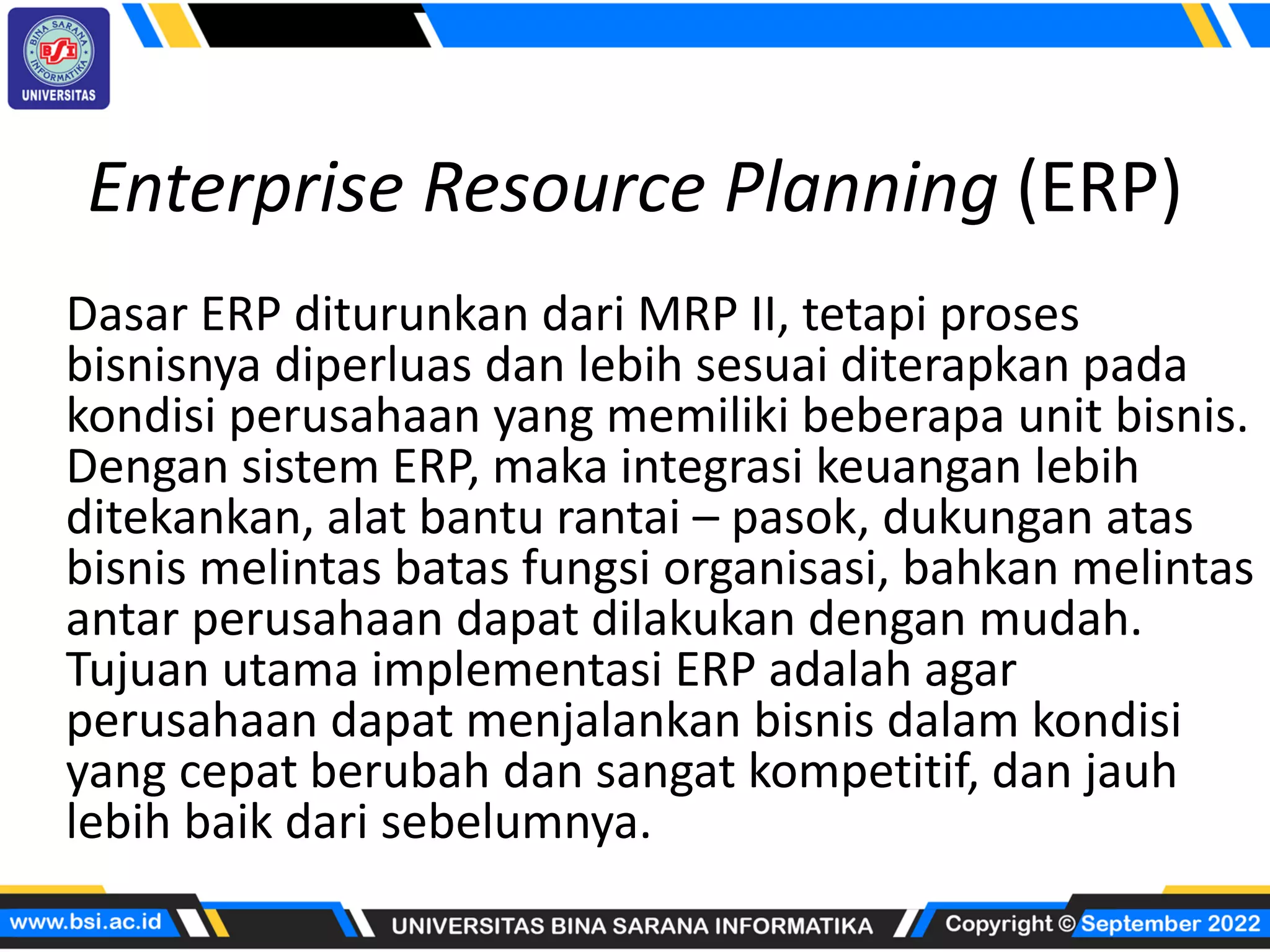 Erp Pdf