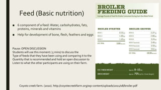 Poultry Production | PPTX