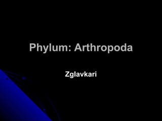 009phylumarthropoda 110222105059-phpapp02 | PPT