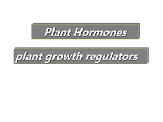 Hormones.ppt