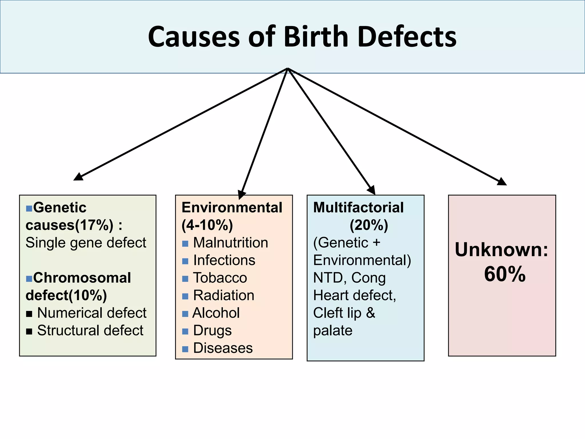 seminar birth defect | PPT | Pregnancy | Reproductive Health