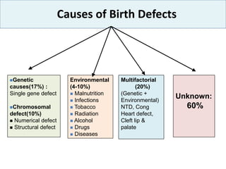 seminar birth defect | PPT