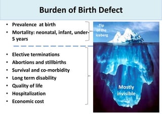 seminar birth defect | PPT | Pregnancy | Reproductive Health