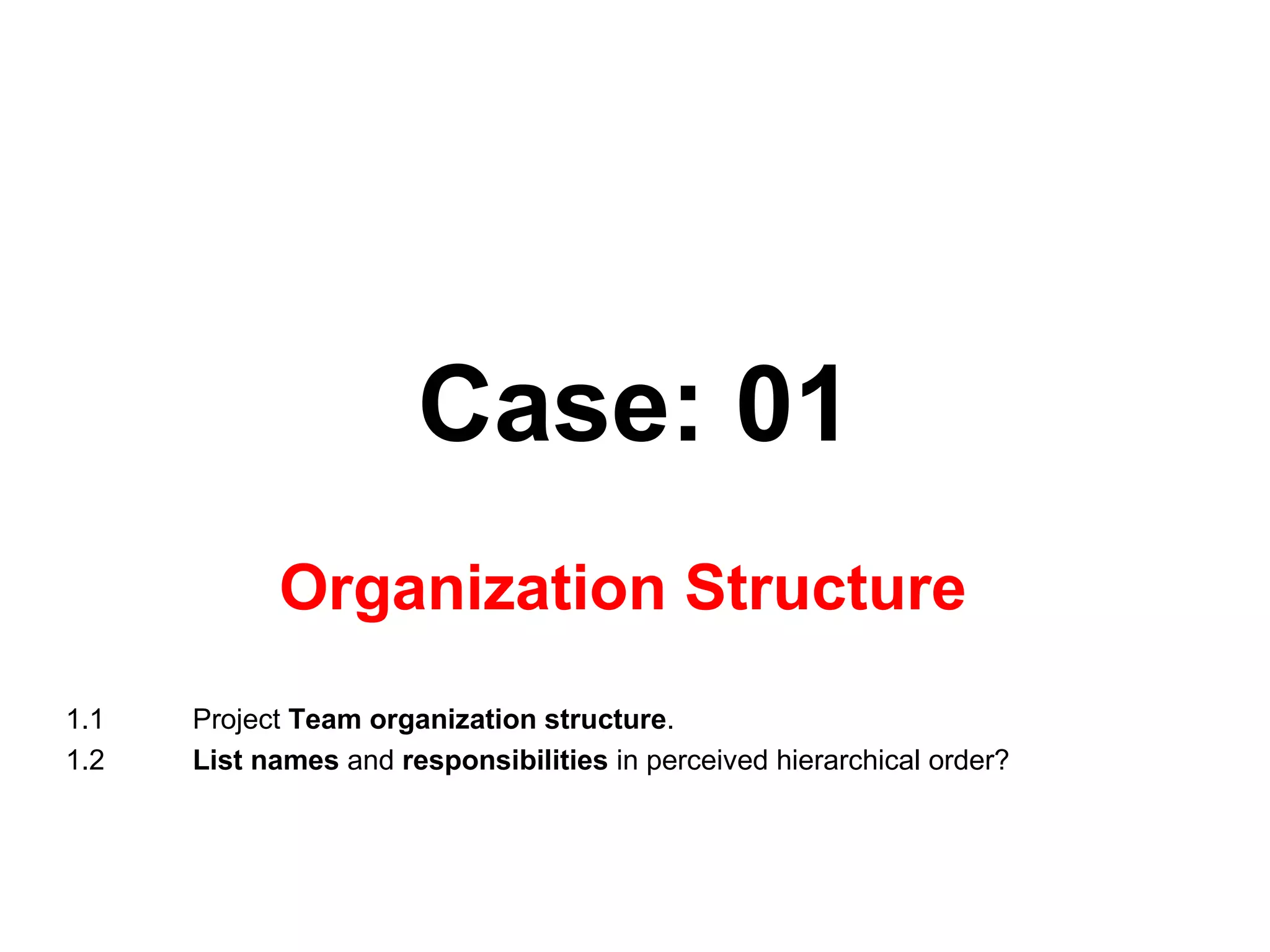 00 Abcd Group Project Team Organogram | PPT