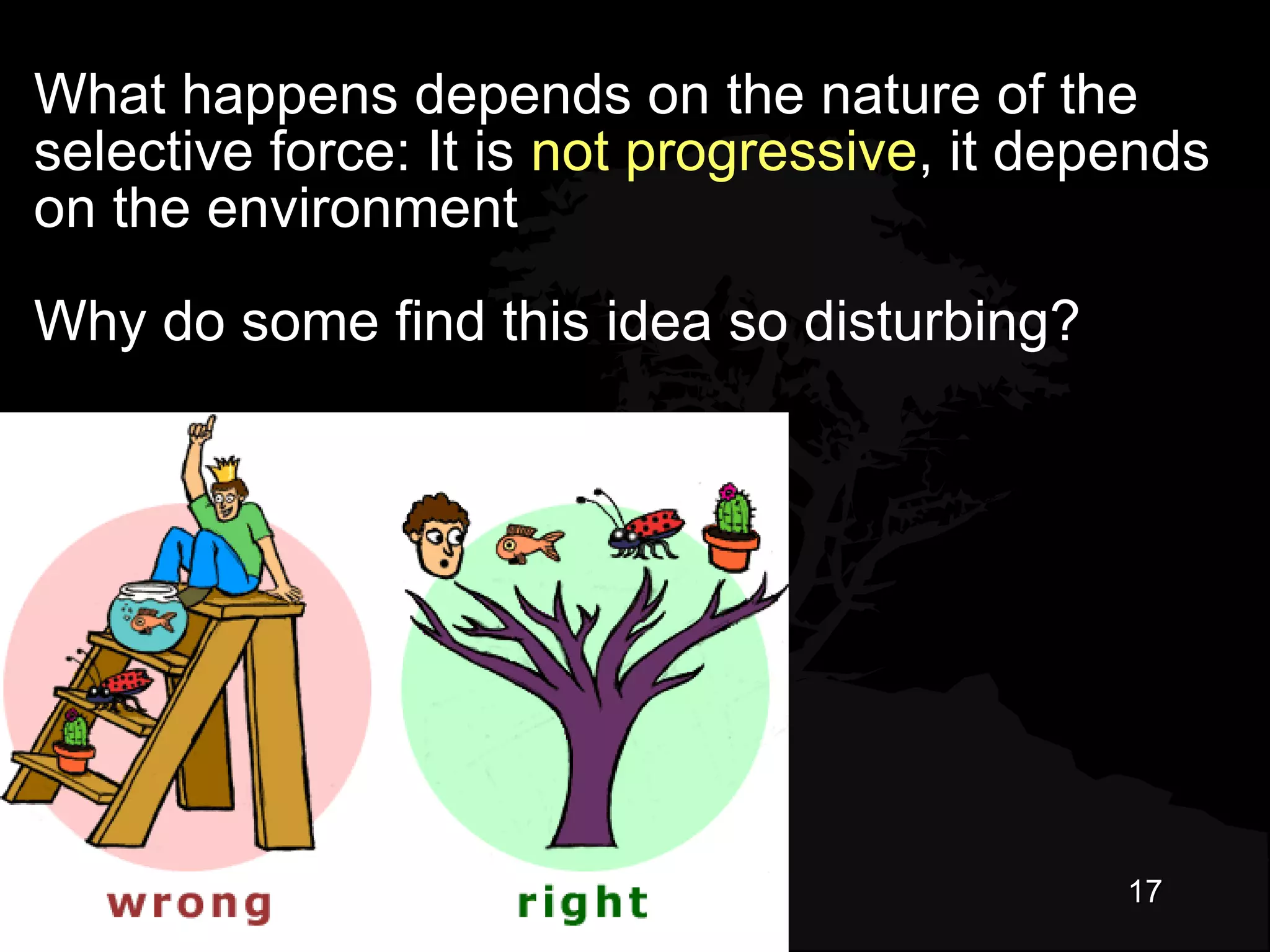 00 Anatomy Framework | PPT