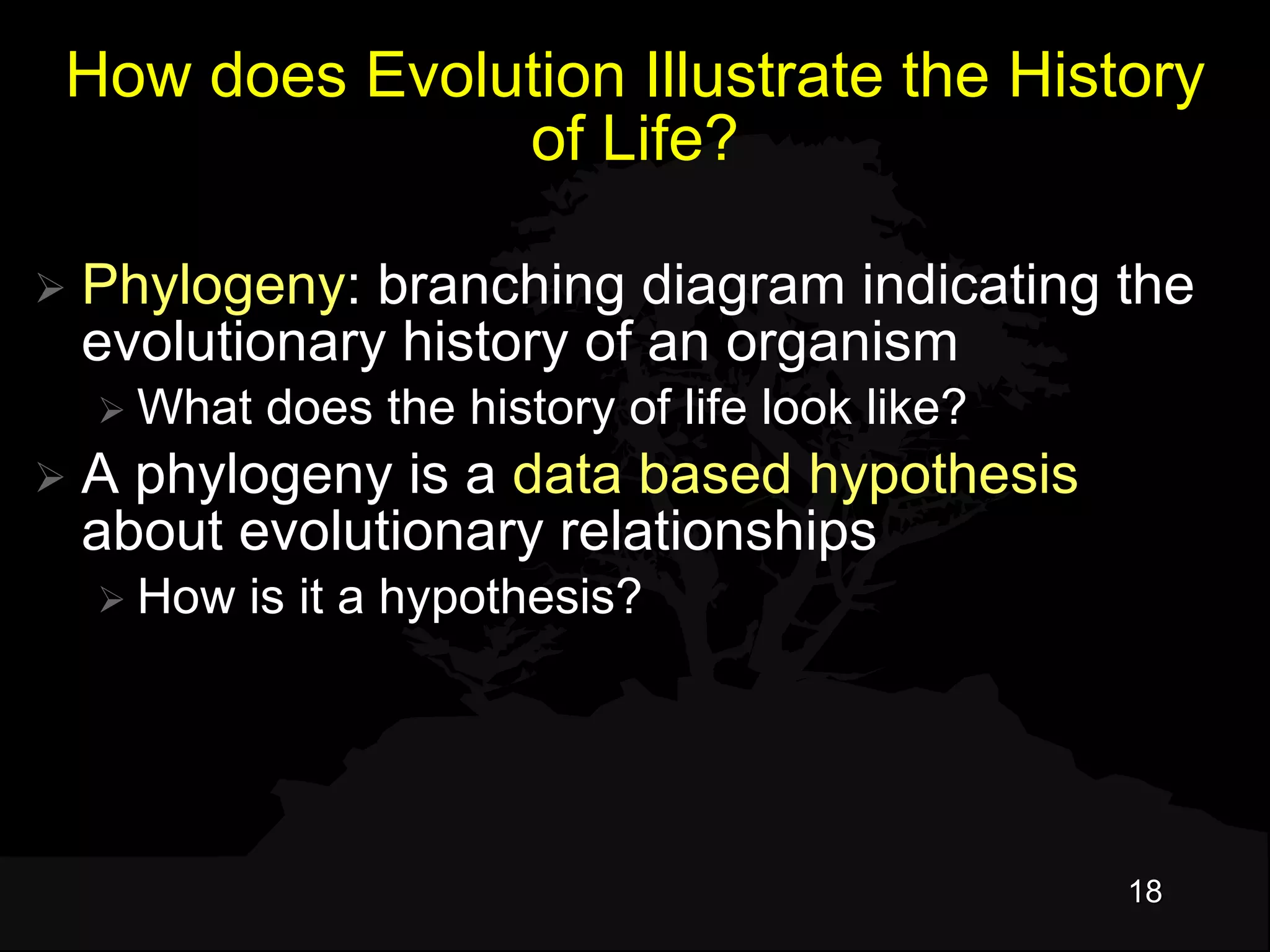 00 Anatomy Framework | PPT | Biological Sciences | Science