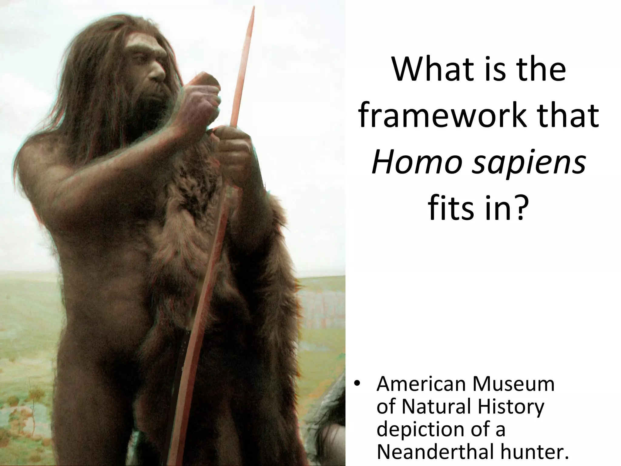 00 Anatomy Framework | PPT | Biological Sciences | Science