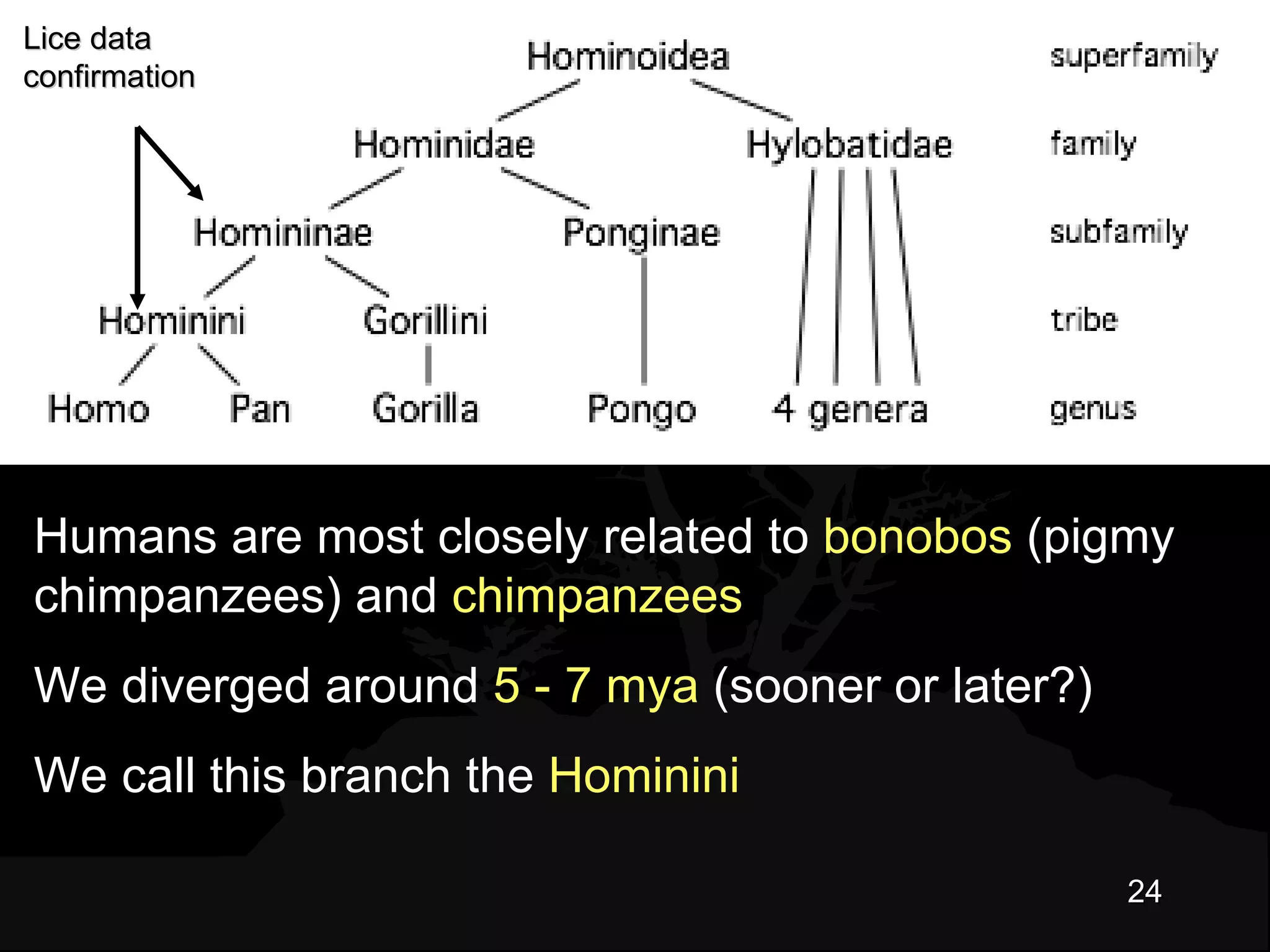 00 Anatomy Framework | PPT | Biological Sciences | Science