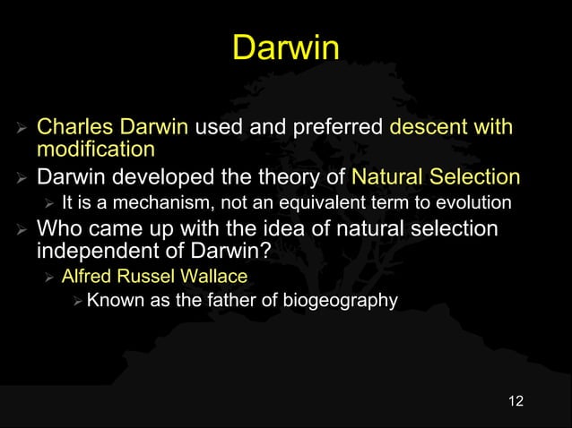 00 Anatomy Framework | PPT | Biological Sciences | Science