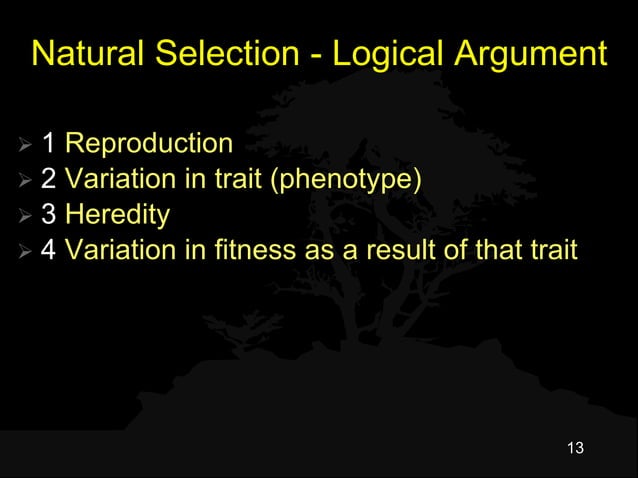 00 Anatomy Framework | PPT | Biological Sciences | Science