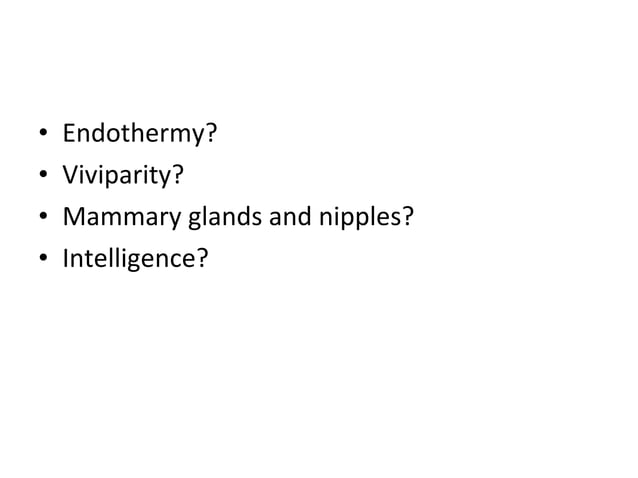 00 Anatomy Framework | PPT